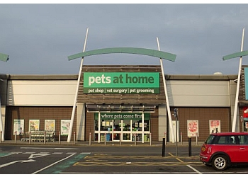 3 Best Vets in Basildon, UK - Expert Recommendations