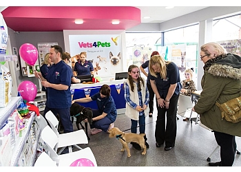 3 Best Vets in Caerphilly, UK - Expert Recommendations