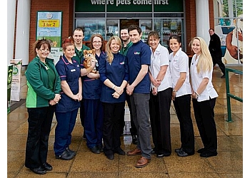 3 Best Vets in Middlesbrough, UK - Expert Recommendations