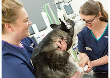 3 Best Vets in Middlesbrough, UK - Expert Recommendations