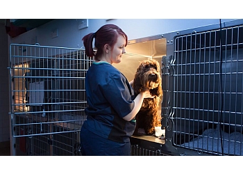 3 Best Vets in Middlesbrough, UK - Expert Recommendations