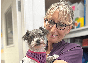 3 Best Vets in Harrogate, UK - Expert Recommendations
