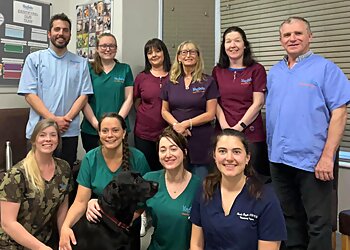 3 Best Vets in Harrogate, UK - Expert Recommendations