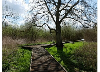 3 Best Parks in Cambridge - ThreeBestRated