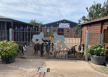 3 Best Boarding Kennels in South Lanarkshire, UK - ThreeBestRated