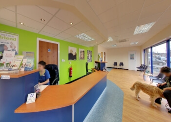 3 Best Vets in Derby, UK - Expert Recommendations