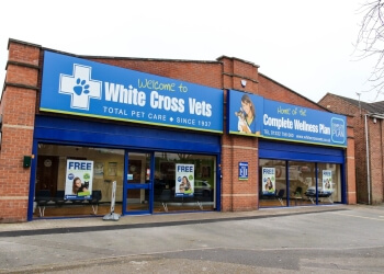 3 Best Vets in Derby, UK - Expert Recommendations