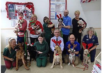 3 Best Vets in Preston, UK - ThreeBestRated