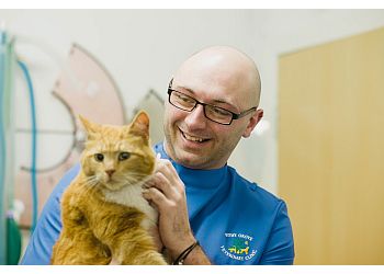 3 Best Vets in Preston, UK - Expert Recommendations