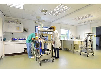 3 Best Vets in Gloucester, UK - Expert Recommendations