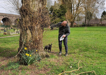 3 Best Tree Services in The Wrekin, UK - ThreeBestRated