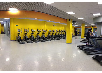 3 Best Gyms in Falkirk, UK - Expert Recommendations