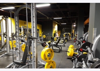 3 Best Gyms in Dundee, UK - Expert Recommendations