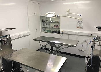 3 Best Vets in Manchester, UK - Expert Recommendations