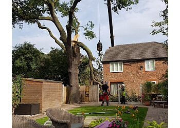 3 Best Tree Services in York, UK - ThreeBestRated